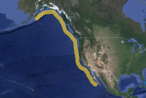 CA Marine Species Portal