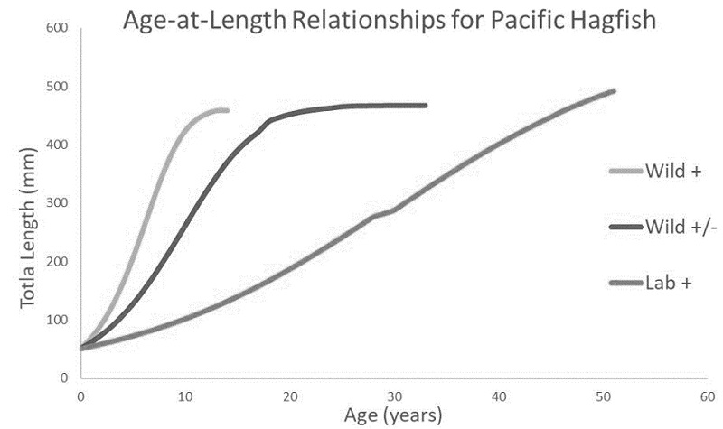 CA Marine Species Portal