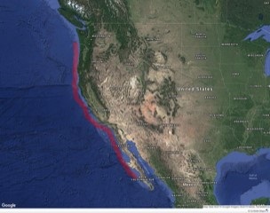 CA Marine Species Portal