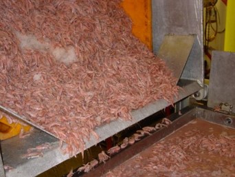 CA Marine Species Portal