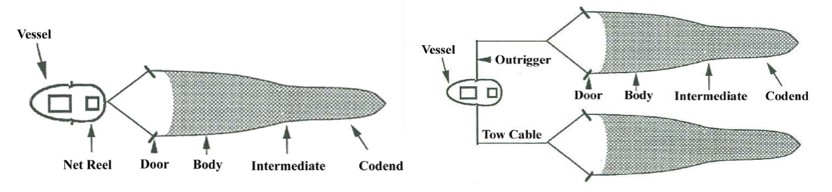 CA Marine Species Portal