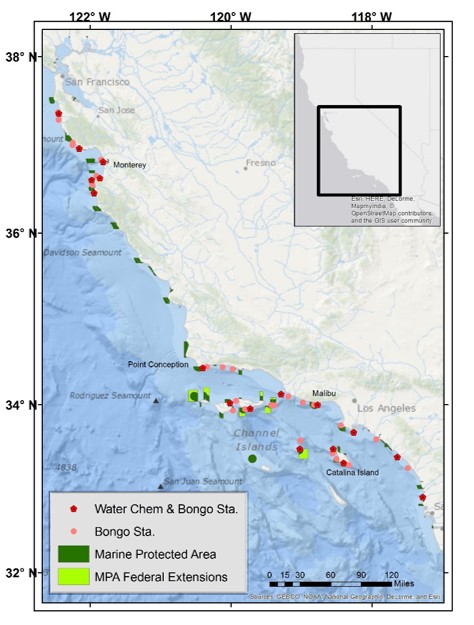 CA Marine Species Portal