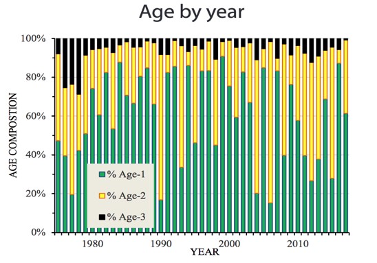 CA Marine Species Portal
